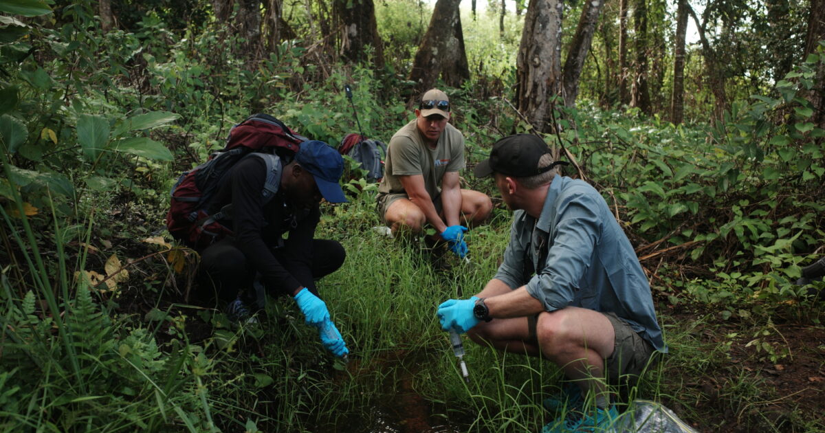 Job Openings | The Wilderness Project