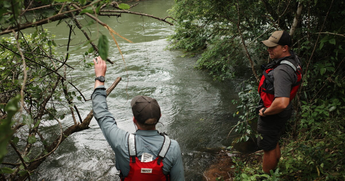 Snapshots From Chambeshi | The Wilderness Project
