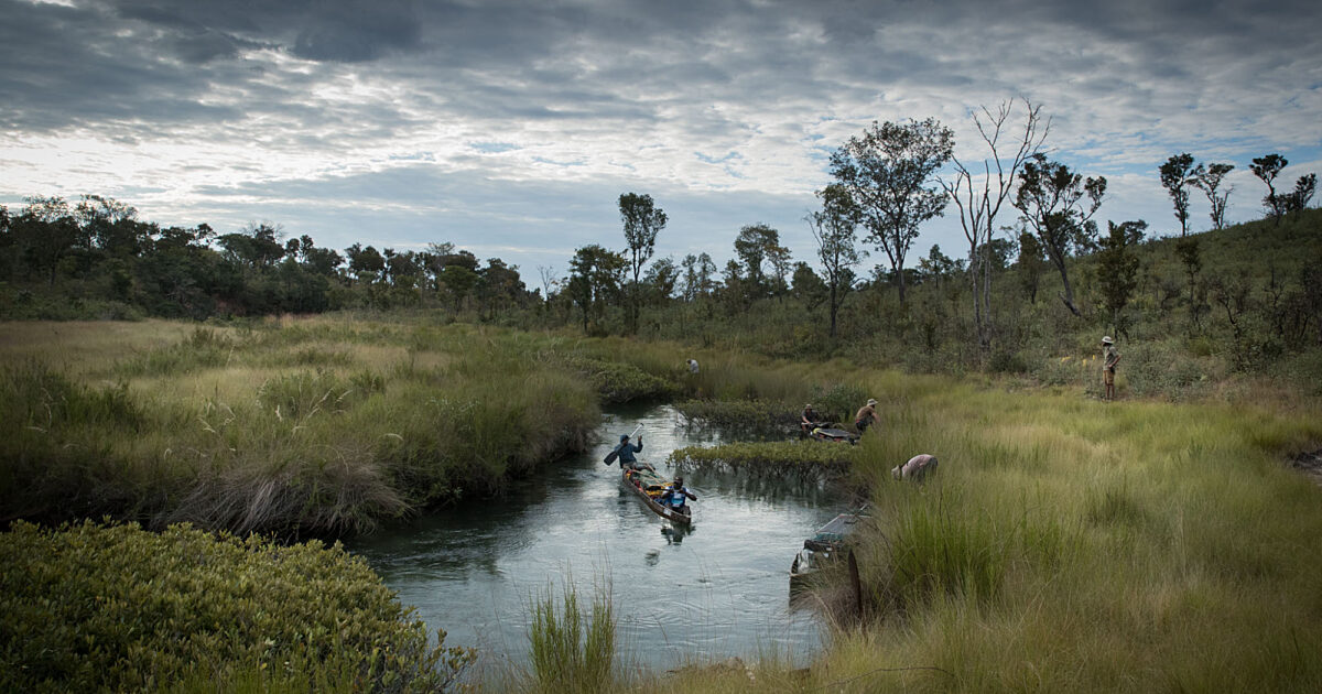 About Us | The Wilderness Project