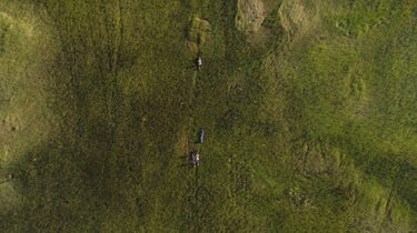 Chambeshi River and Bangweulu Swamps | The Wilderness Project