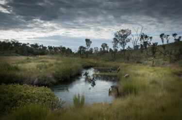 About Us | The Wilderness Project