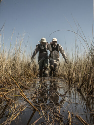 About Us | The Wilderness Project