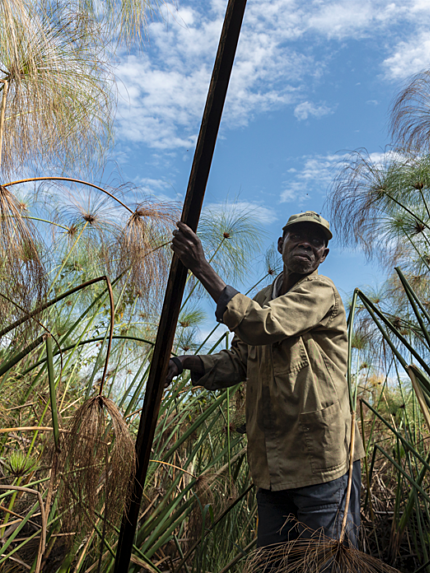 A Glimpse into the Chambeshi Expedition | The Wilderness Project