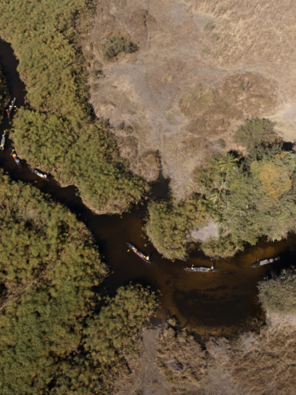 Okavango Delta – Revisited | The Wilderness Project